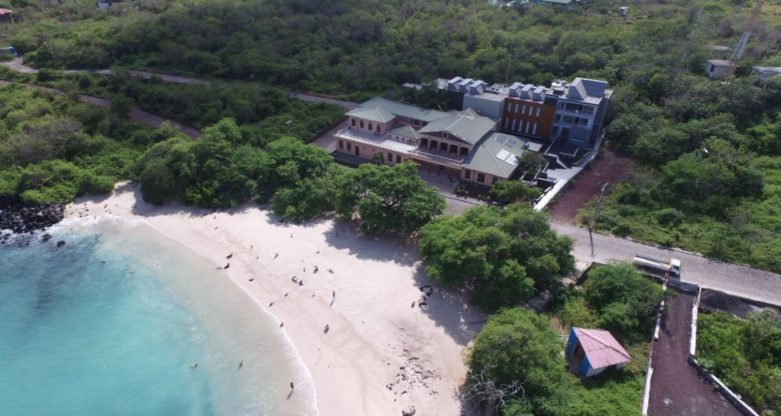 Genomic and biogeographic patterns of endemic geckos in the Galapagos ...