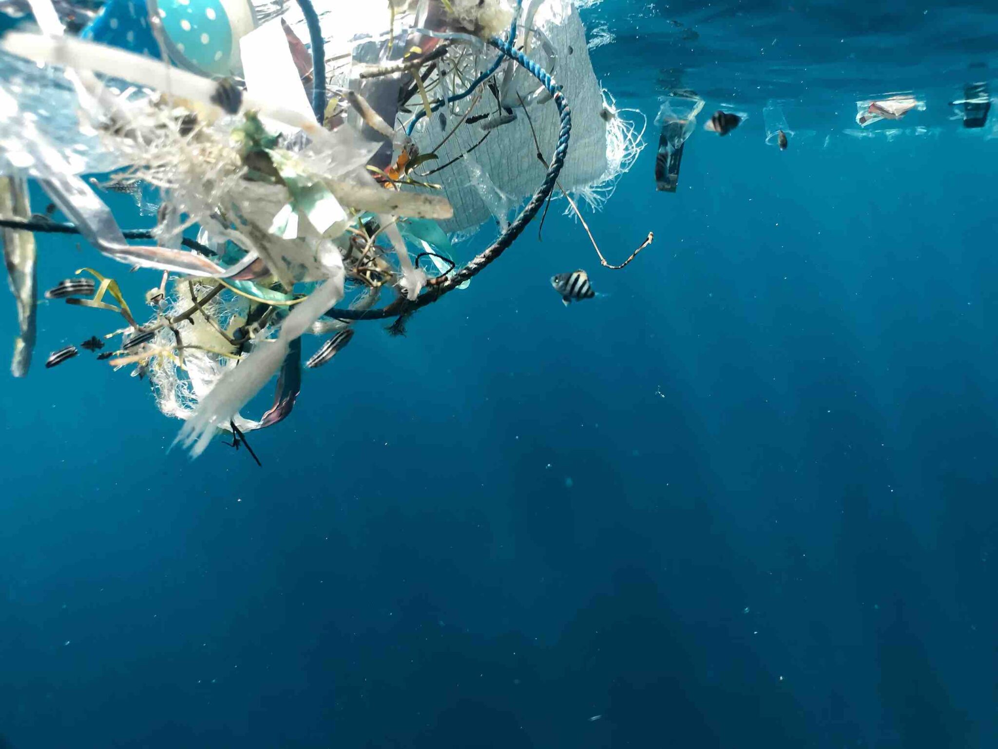 Plastic pollution transcends marine protected area boundaries in the ...